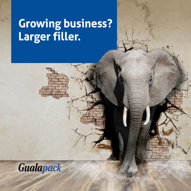 Scale up your pouch filling machines: our high-volume equipment | Gualapack